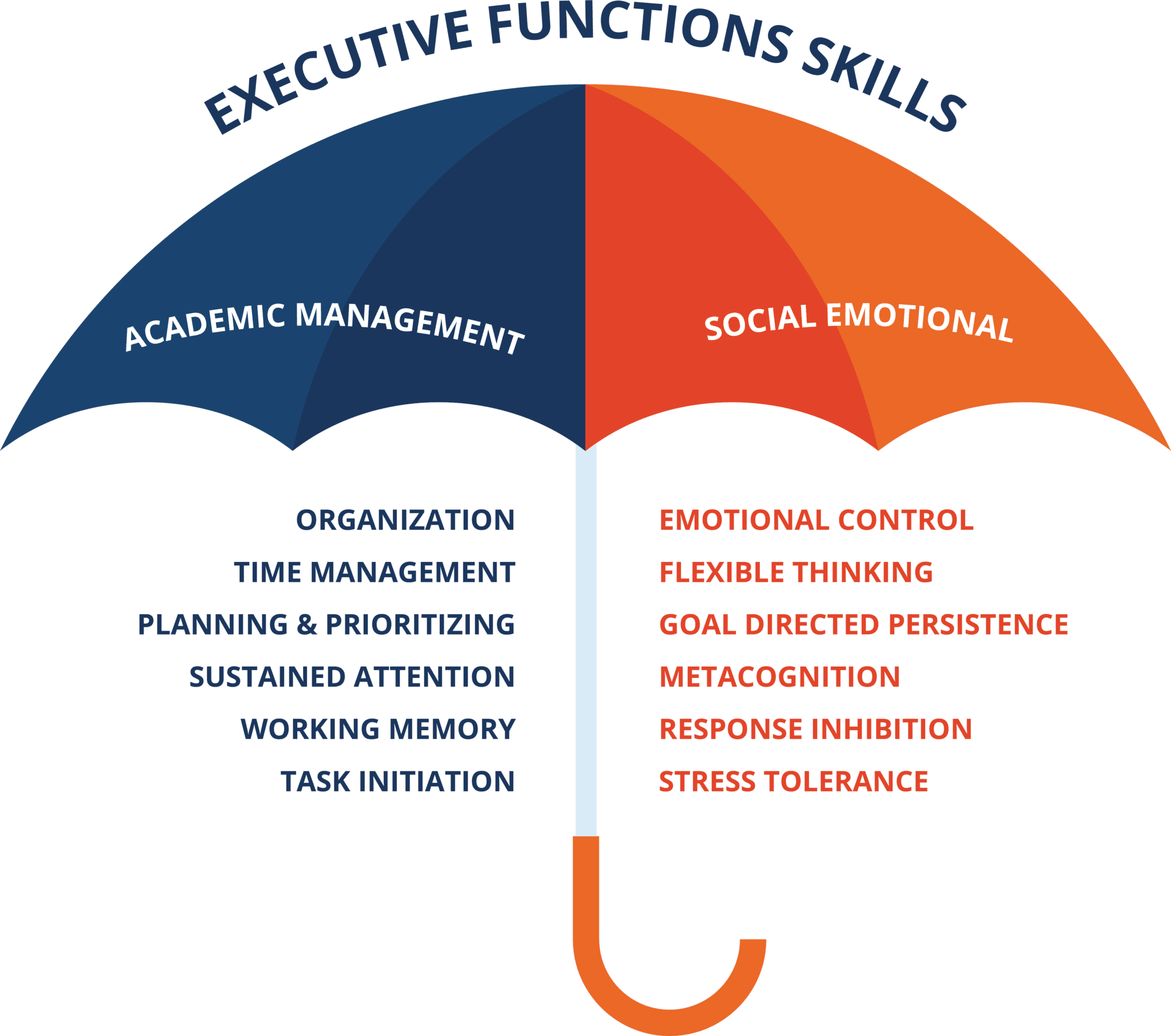 Executive Function Skills Training for Students in Atlanta