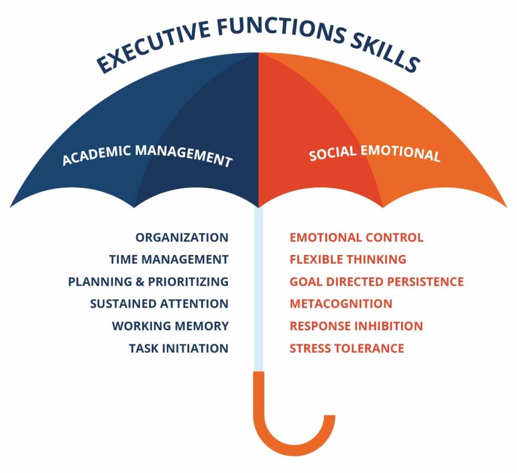 Teaching Executive Function Skills for Educators